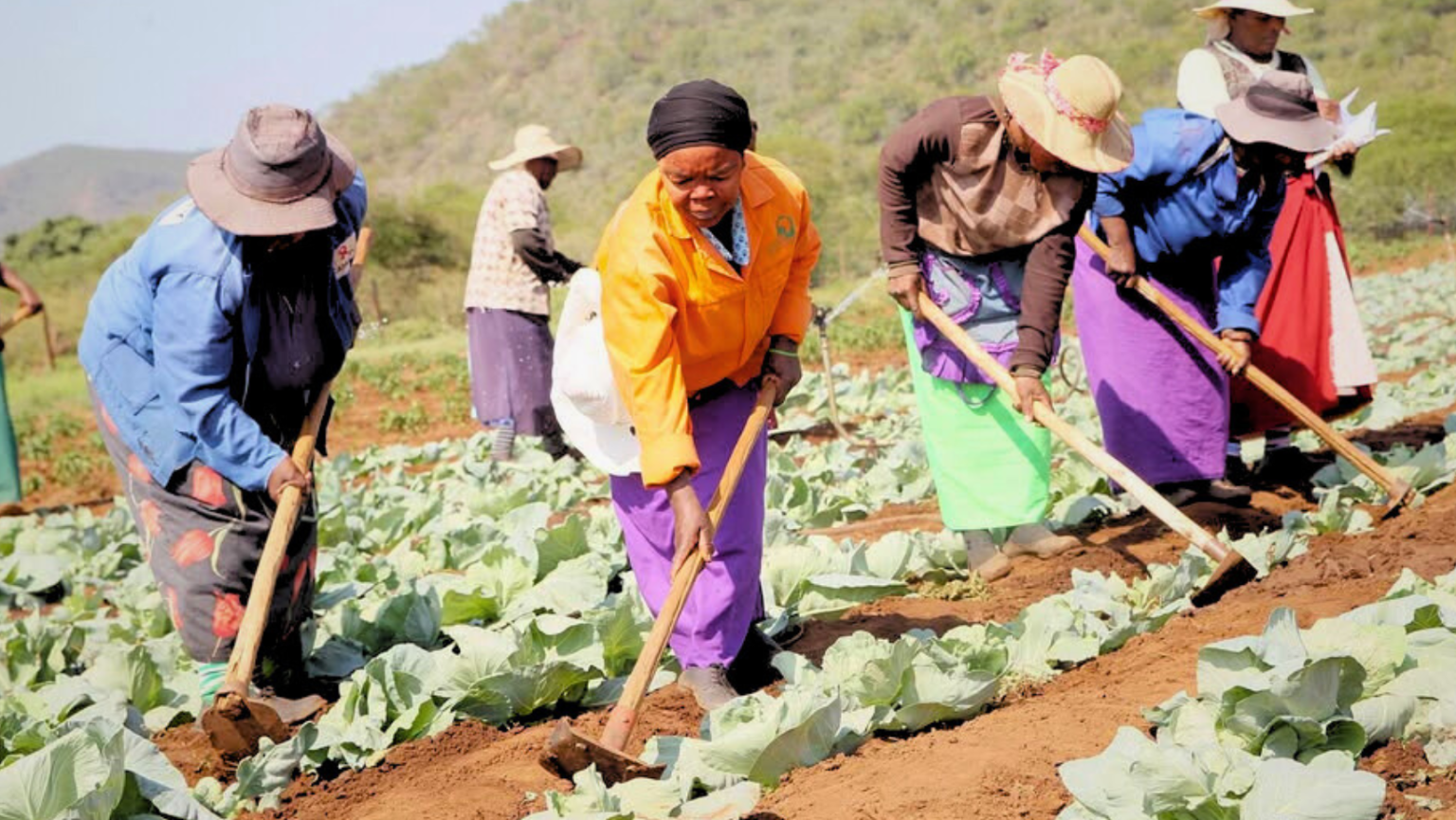Izibalo ngemindeni elimayo ezweni zikhombisa ukwanda kwegebe phakathi ...