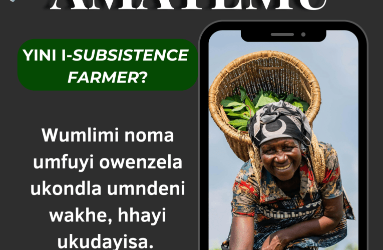 Ezobuchwepheshe | Umbele ePublication