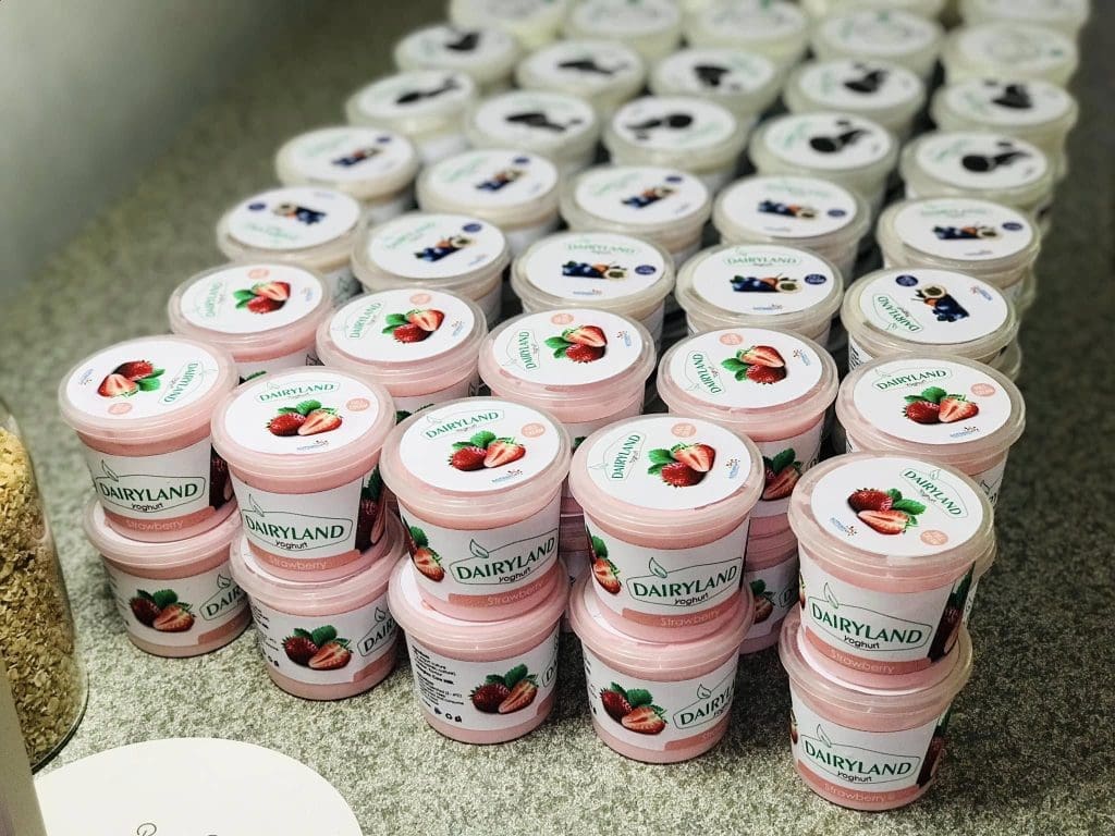 Dairyland Yoghurt | Umbele online publication